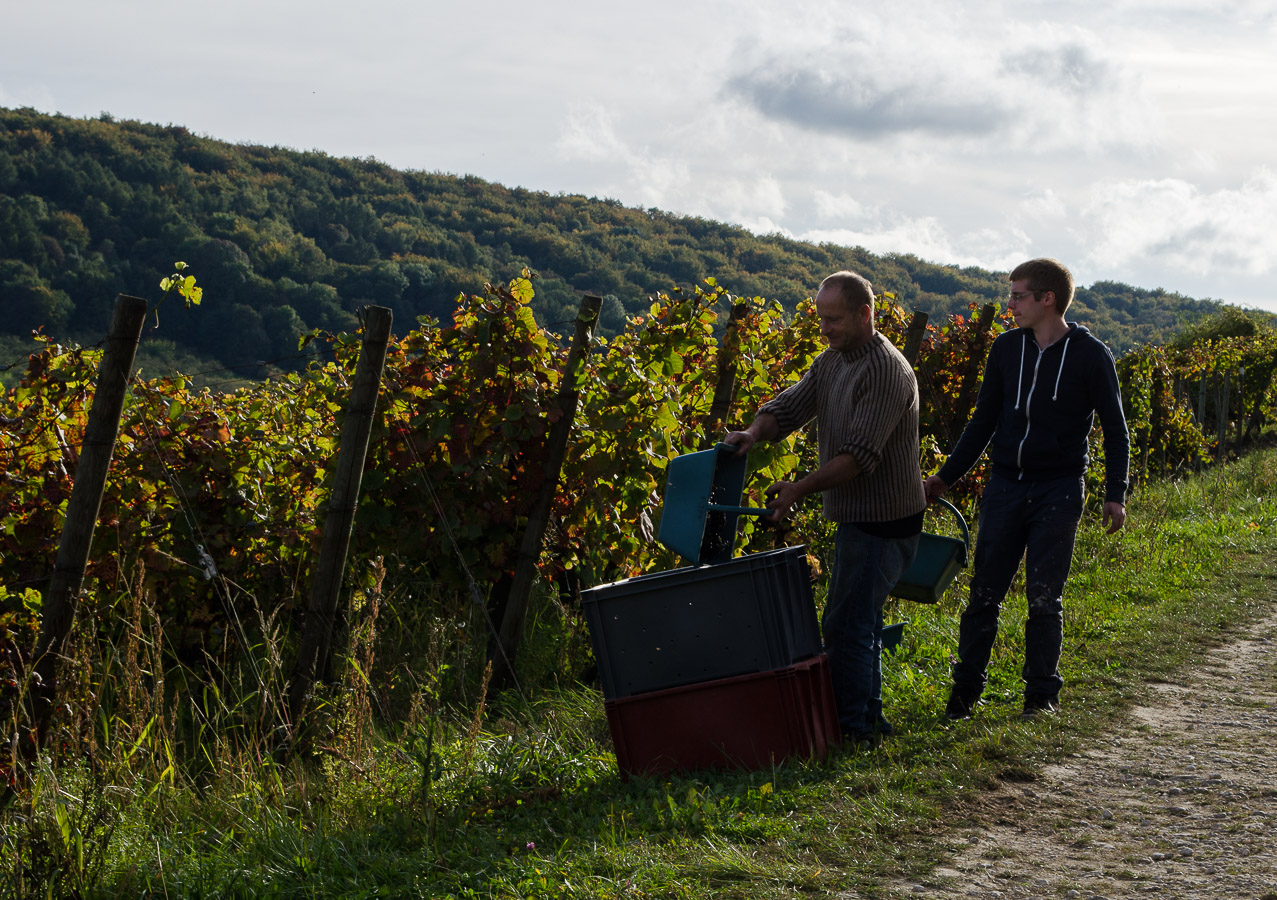 Dominique Henry Photographe