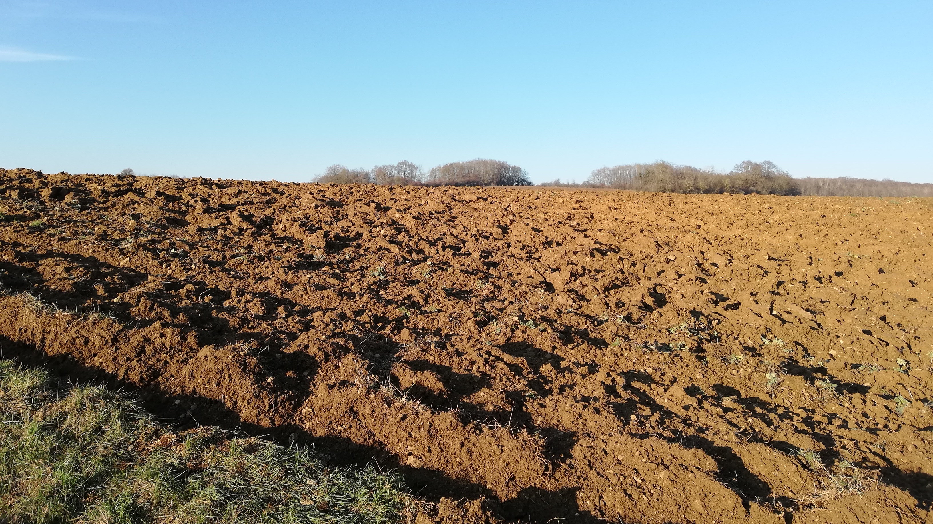 Dominique Henry Photographe