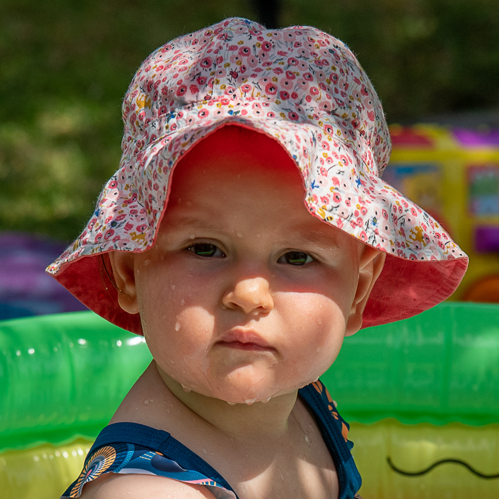 Dominique Henry Photographe