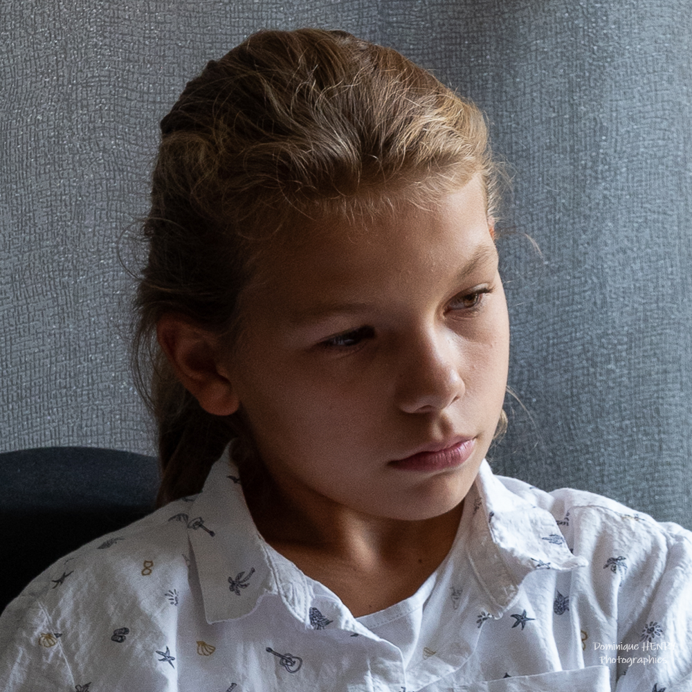 Dominique Henry Photographe